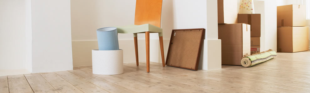 Clearance - As Seen On TV